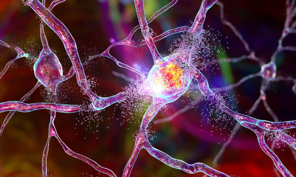 Diabetes & the Brain - Role, Effect of Hypoglycemia on Cognitive Functions