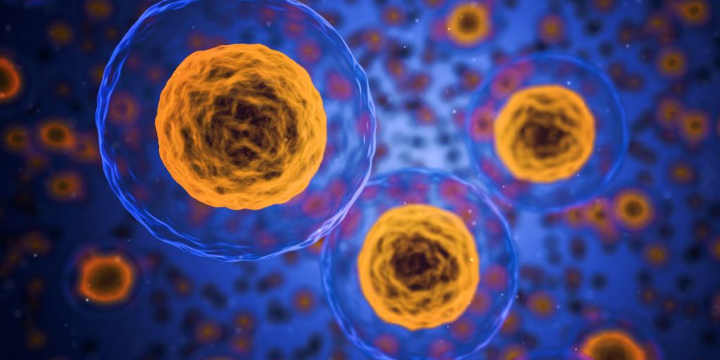 Beta Cells - What They Do, Role in Insulin