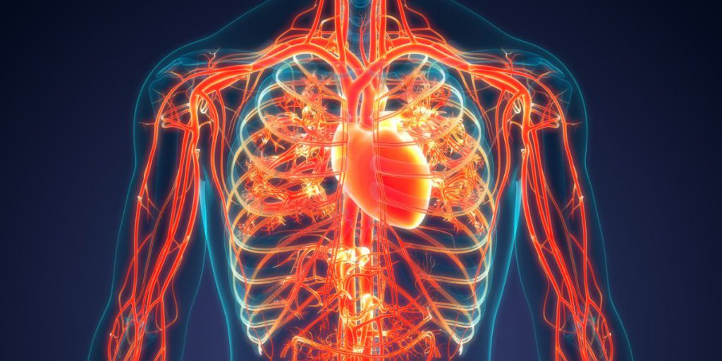 Poor Blood Circulation - Causes, Association with Diabetes, Treatment