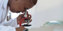 New protective gel could help transplanted insulin-producing cells ...