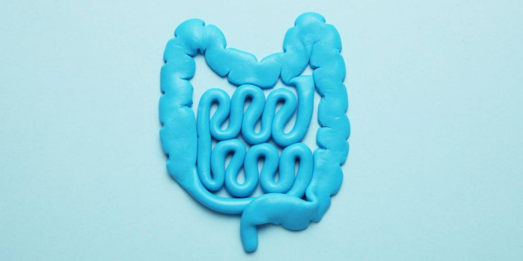 Scientists map an age related drift in gut stem cells that may raise ...