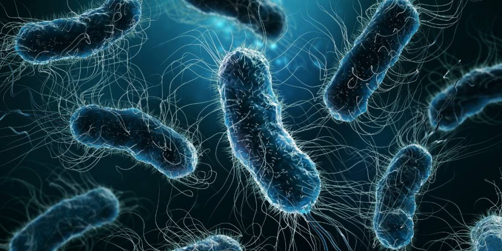 Gut bacteria could be influential in development of type 2 diabetes